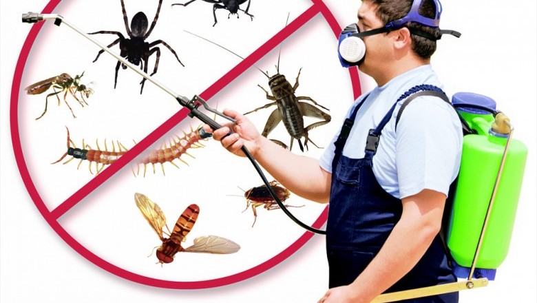 Controlling Pests With Effective Pest Control Services | Brass Kangaroo